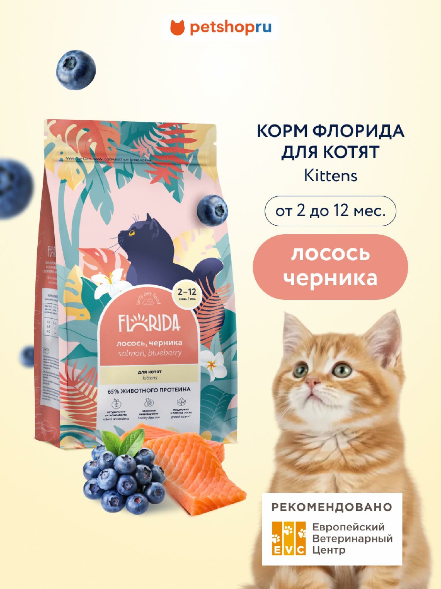 Сухой корм для котят с лососем и черникой, деликатная формула, Kitten Delicate, Salmon & Blueberry, 4 кг
