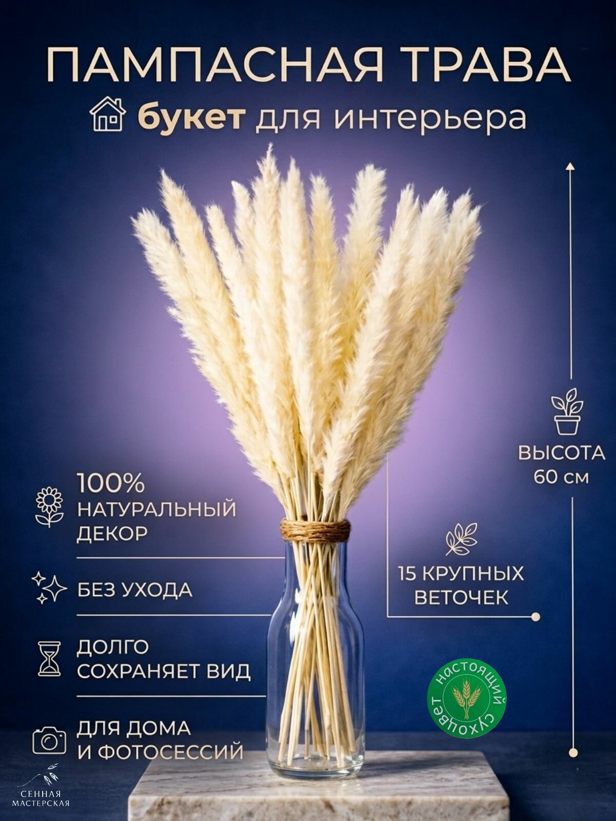 Пампасная трава (кортадерия) сухоцветы для декора, букет из сухоцветов для интерьера, белый 60 см, 15 шт.