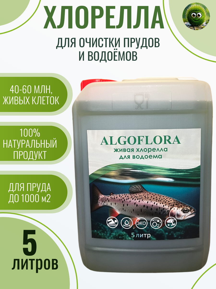 Хлорелла для очистки прудов и водоемов суспензия канистра 5 литров