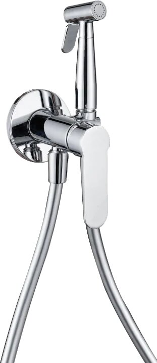 Гигиенический душ Aquanet Passion AF300-52C встраиваемый, скрытого монтажа, со смесителем, хром, глянцевый, латунь, рычажный, смеситель для биде