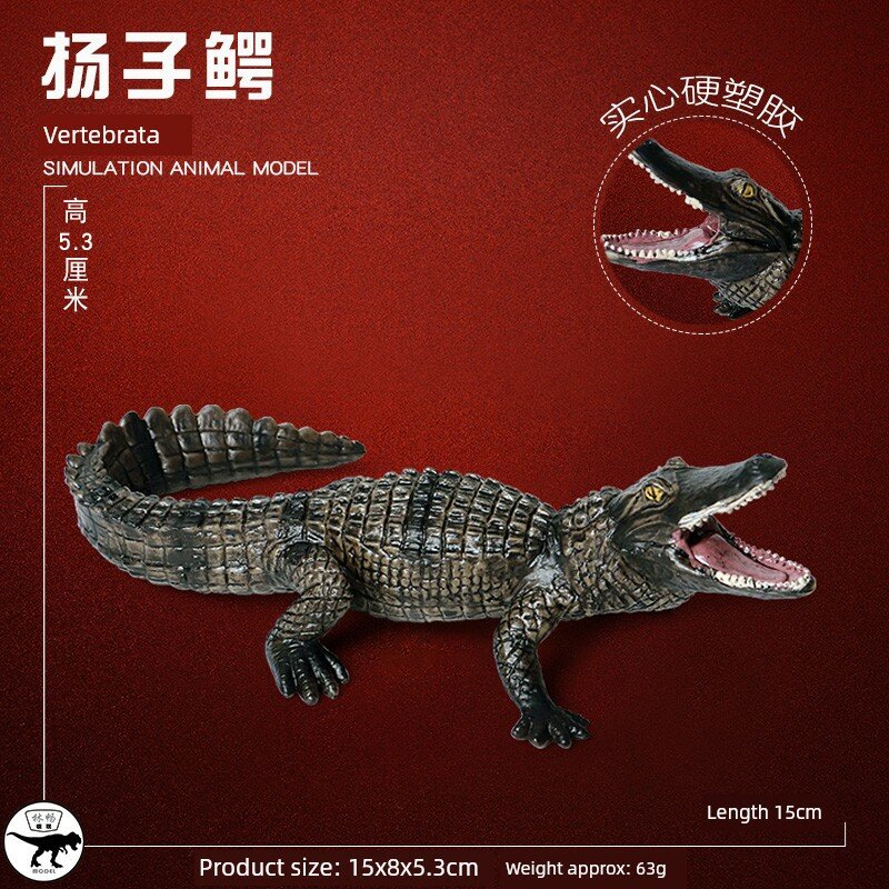 Lin Changmo играет с детской игрушкой-зомок, модель меда, плоская голова, брат, твердый набор искусственных животных,