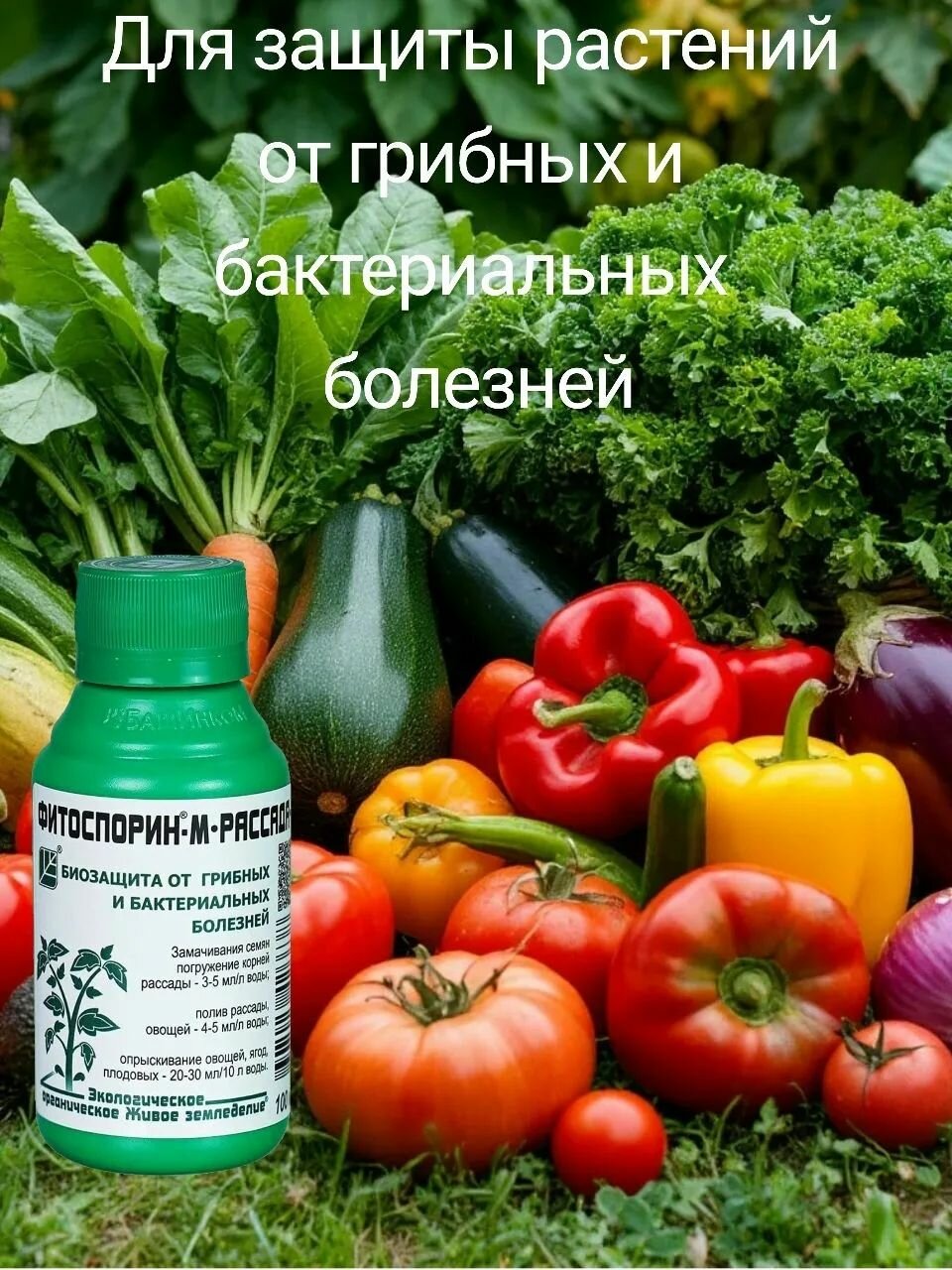 Регулятор роста корневой и листовой системы