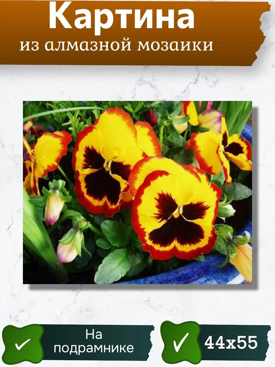 Алмазная мозаика на подрамнике 44х55