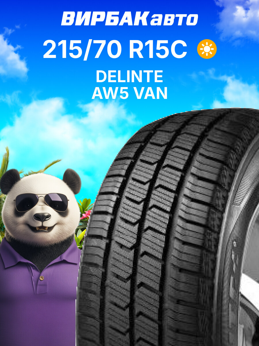 Летние шины DELINTE AW5 VAN 215/70R15C 109/107R, летняя автомобильная резина