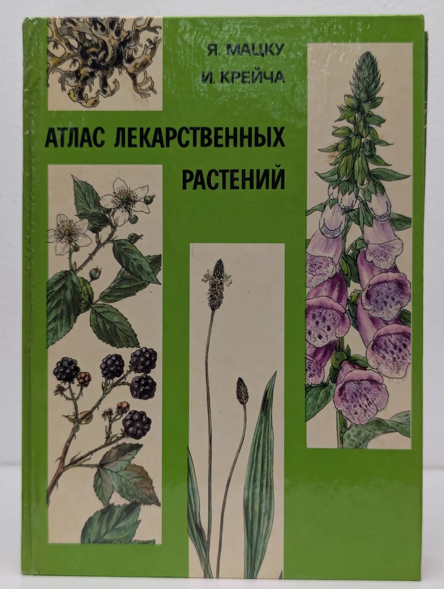 Атлас лекарственных растений Крейча Индржих, Мацку Ян 1981