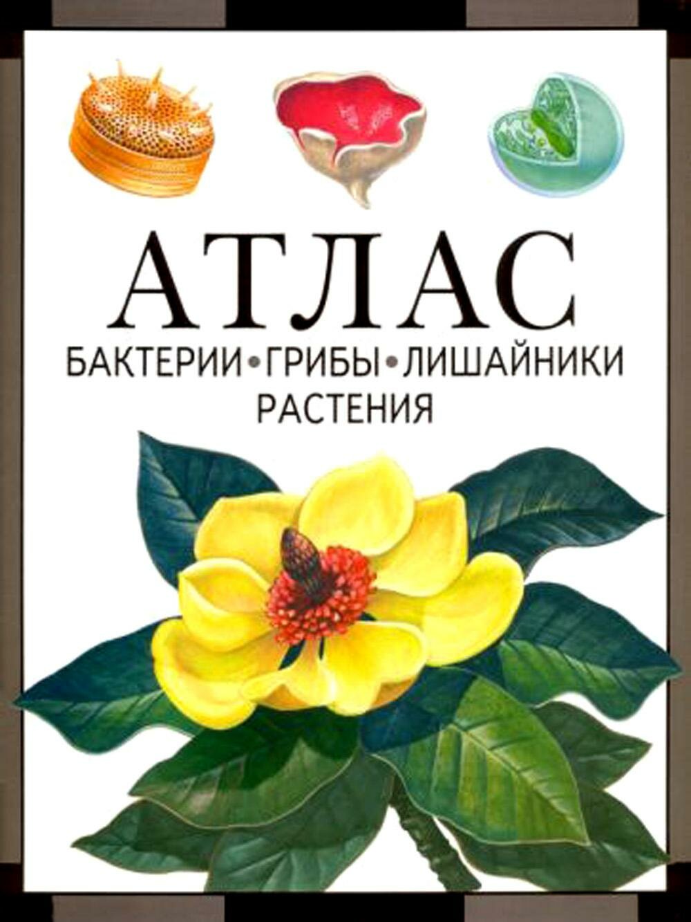 Бактерии, грибы, лишайники, растения: атлас (5-е, стереотипное)