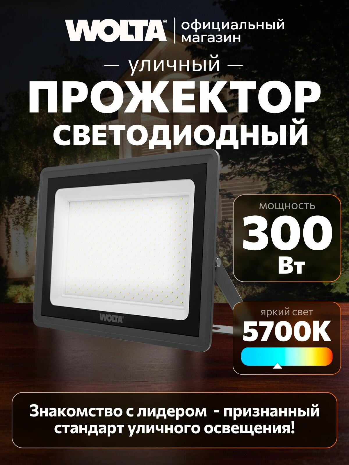 Прожектор светодиодный уличный 300Вт, 27000 Лм, 5700К, влагозащита IP65