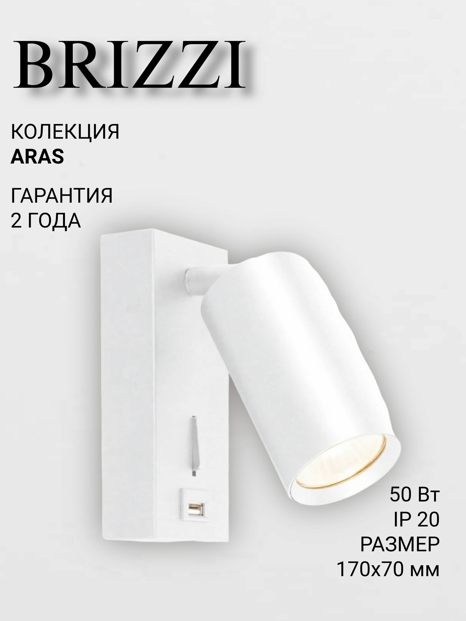 Настенный светильник-спот, бра BRIZZI ARAS BR08081
