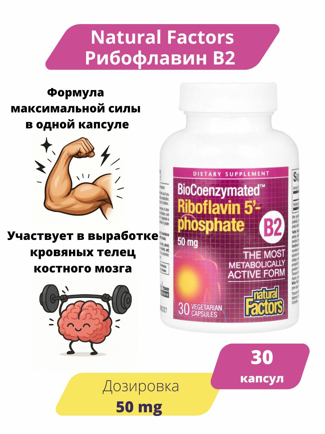 Natural Factors Natural Factors, BioCoenzymated Riboflavin 5-phosphate B2, 50 mg 30 cap/ Пищевая добавка Рибофлавин 5-фосфат Б2, 50 мг, 30 вегетарианских капсул