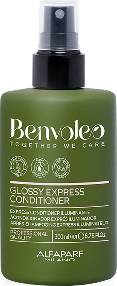 Benvoleo Экспресс-кондиционер для блеска волос Glossy Express Glossy Express Conditioner 500ml