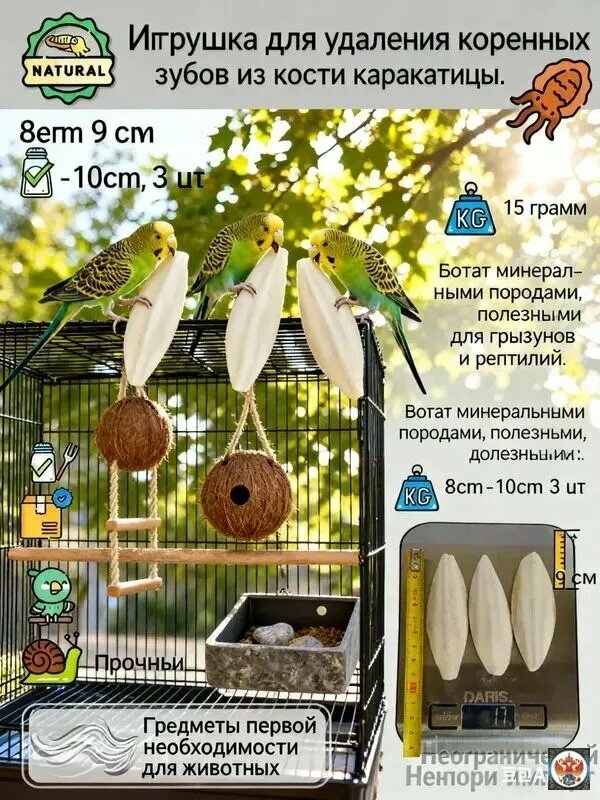 Сепия 9 см 3 штуки, панцирь каракатицы для улиток, черепах, попугаев, рептилий, корм для птиц