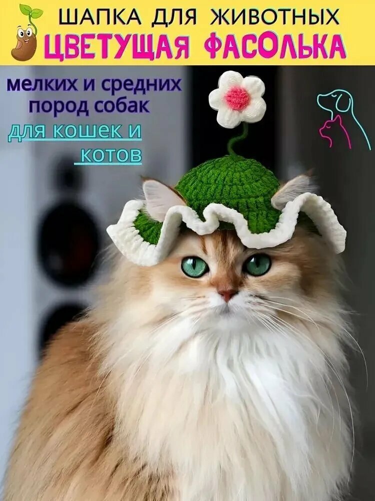 Шапка для котов кошек и собак для животных