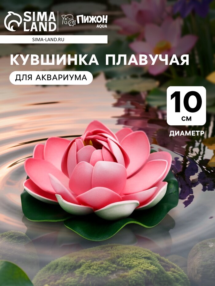 Кувшинка плавучая для аквариума, 10 см, розовая