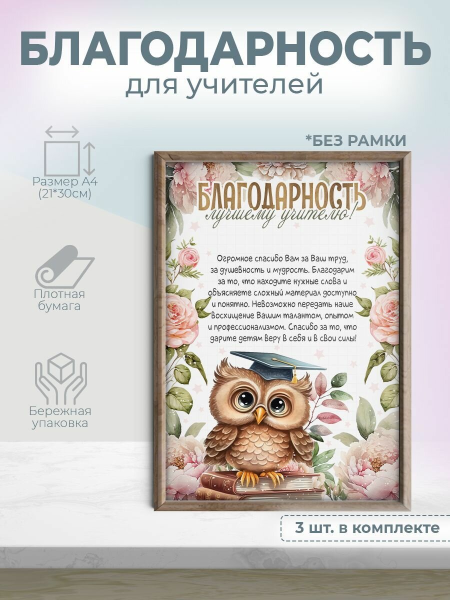 Благодарность учителю 3 шт А4