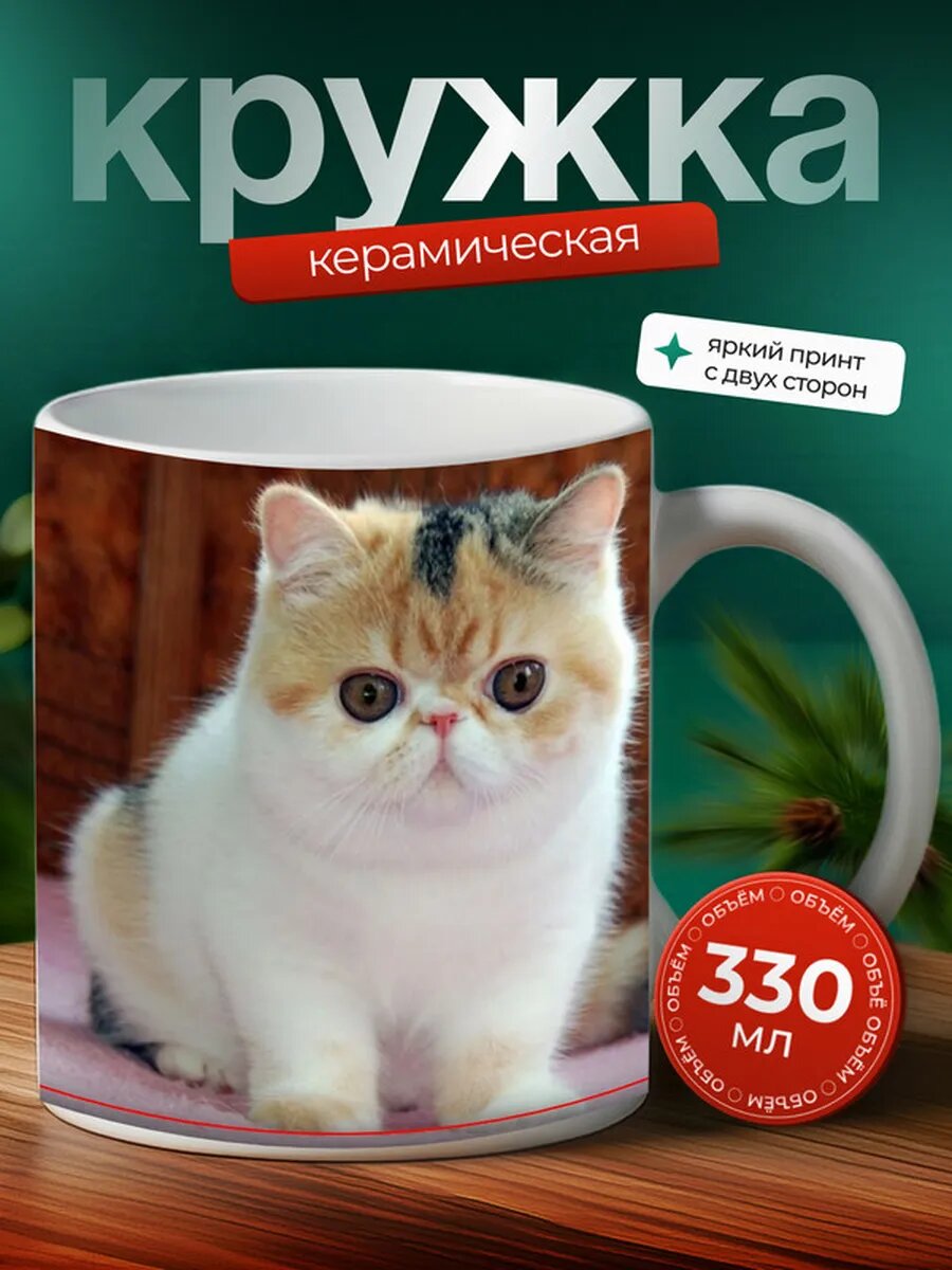 Кружка Американская многоногая кошка 49,