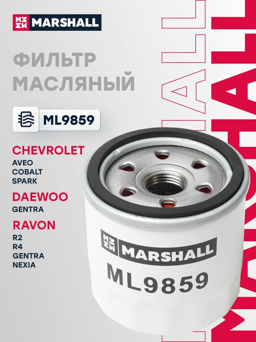 Фильтр масляный Chevrolet Aveo 1, Cobalt 2, Spark 2 3; Daewoo Gentra 2; Ravon R2 1, R4 1, Gentra 1, Nexia R3, OEM 25181616 MANN-FILTER W6021
