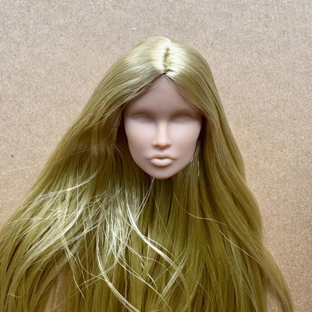 Коллекционная голова куклы FR Fashion Royalty Vanessa Agnes Adele 1/6 Violiane HU