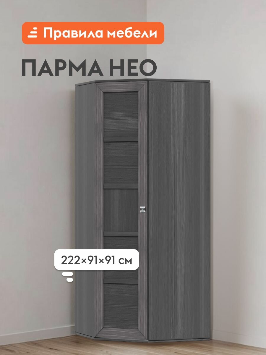Распашной шкаф для одежды и хранения вещей Парма Нео угловой с полками, со штангой, 91х91х222 см, Лиственница темная / Экокожа дила, С глухим фасадом