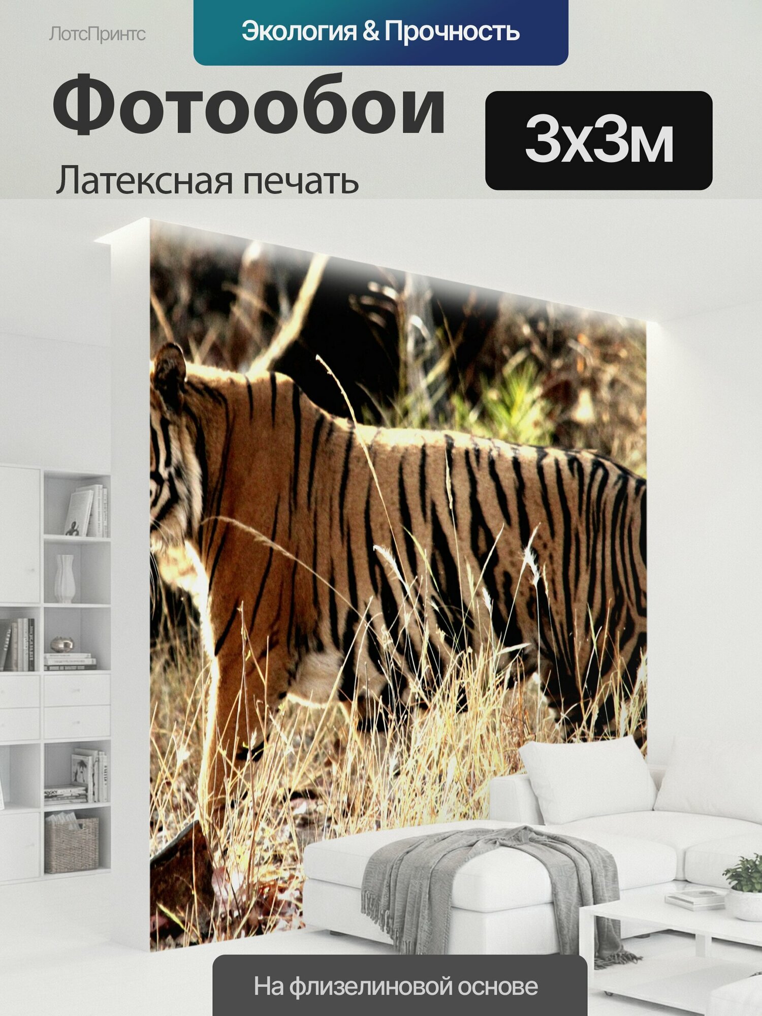 Фотообои моющиеся ударопрочные "Тигр Мужской тигр охота Bandhavgarh Индии Тигр охота Индия Bandhavgarh" 300x300 см. латексная печать