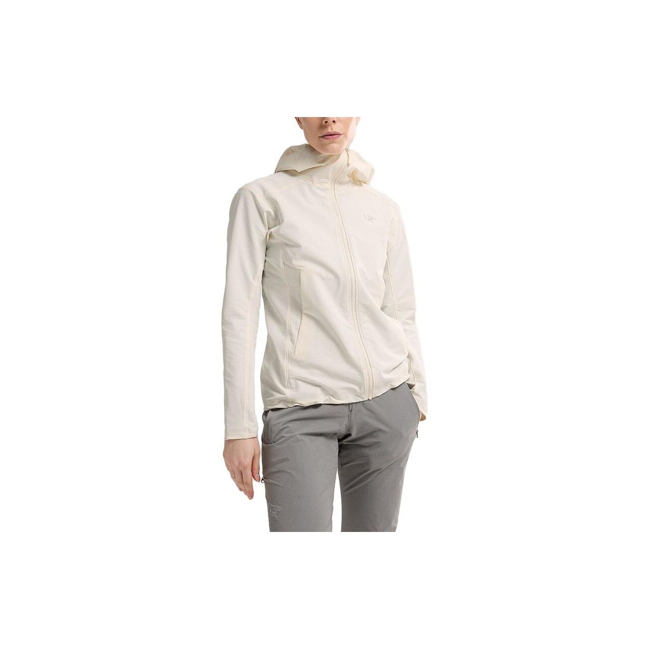 Куртка Arc'teryx