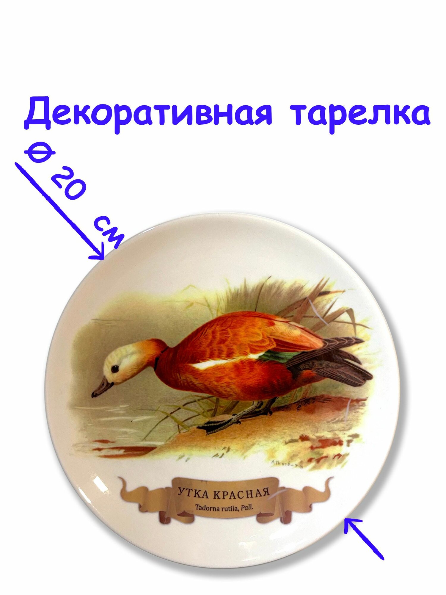Декоративная тарелка с изображением утки красной исп.1т