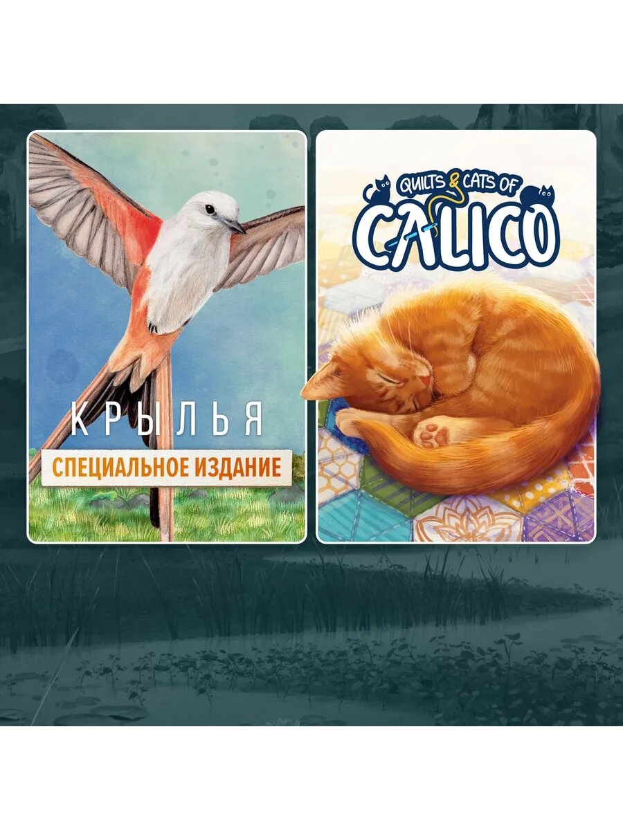 Birds and Cats Special Edition PS5