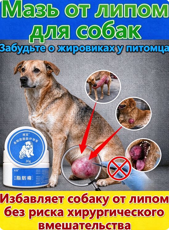 Мазь для собак при липоме и подкожных шишках: натуральный уход за кожей питомца, 30 г