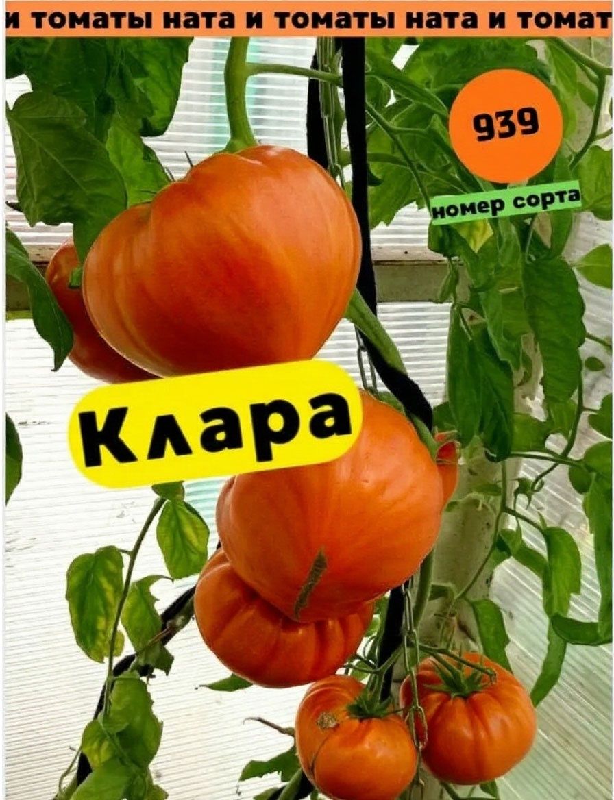 Семена томата Клара. (Крупноплодный )(Коллекционный )10 шт