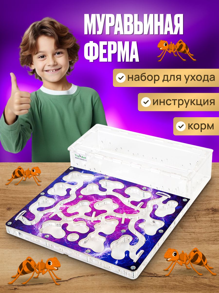 TopAnt Средняя муравьиная ферма максимальный комплект подарки формикарий для муравьев