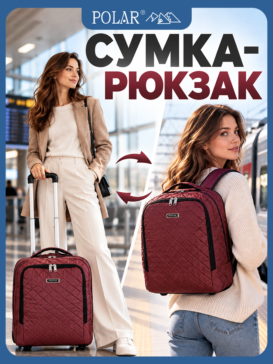 Чемодан-рюкзак POLAR