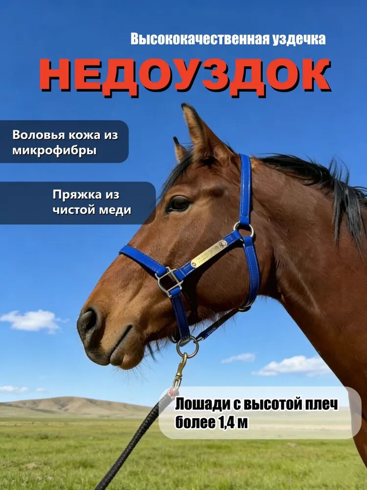 Недоуздок для лошади FULL/фулл синий, из микрофибры с медной фурнитурой