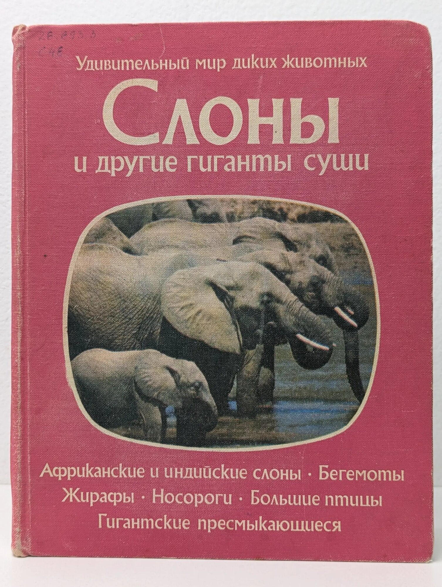 Удивительный мир диких животных. Слоны и другие гиганты суши Сборник 1983