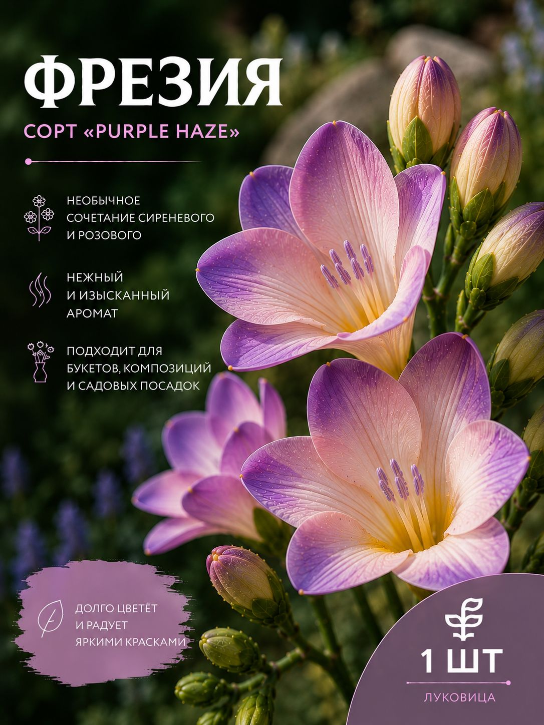 Фрезия луковицы многолетние 1 штука