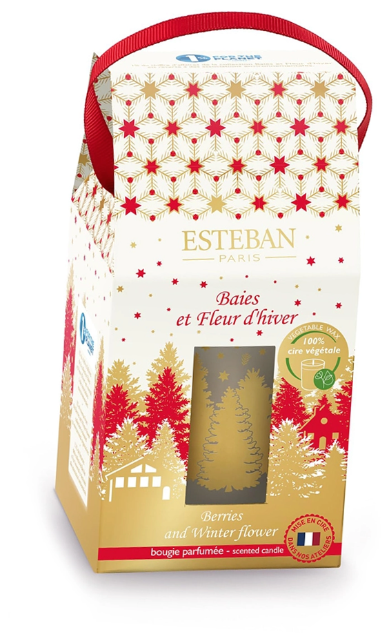Парфюмированная свеча Esteban Berries and Winter Flower 180 гр - ягоды и зимние цветы, Эстебан