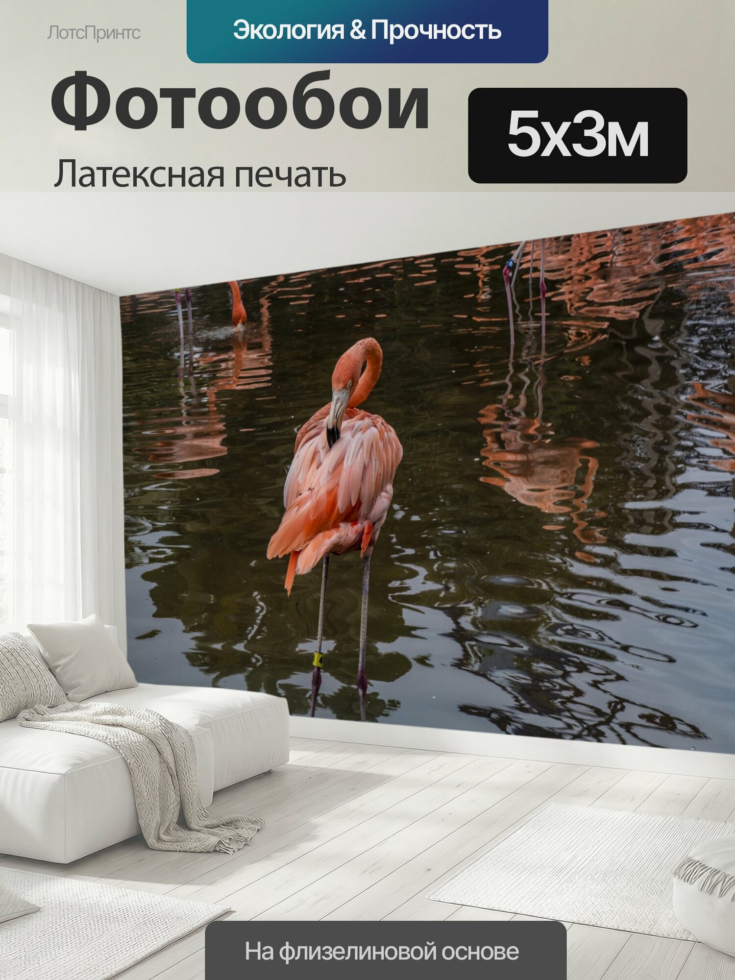 Фотообои моющиеся ударопрочные "Фламинго-пруд Фламинго птица фламинго пение чистка поведение неволи розовые дикая природа ноябрь18" 500x300 см. латексная печать