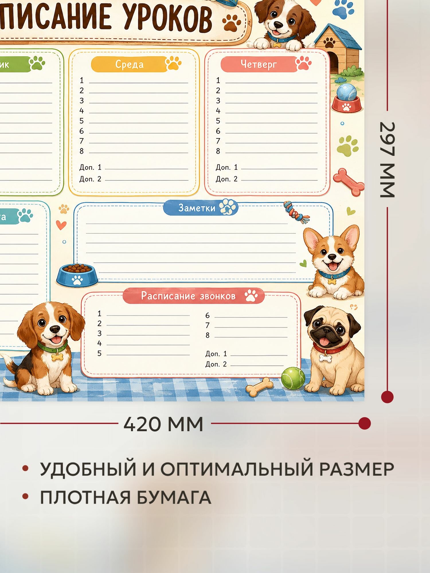 Расписание уроков Собачки — фото 1