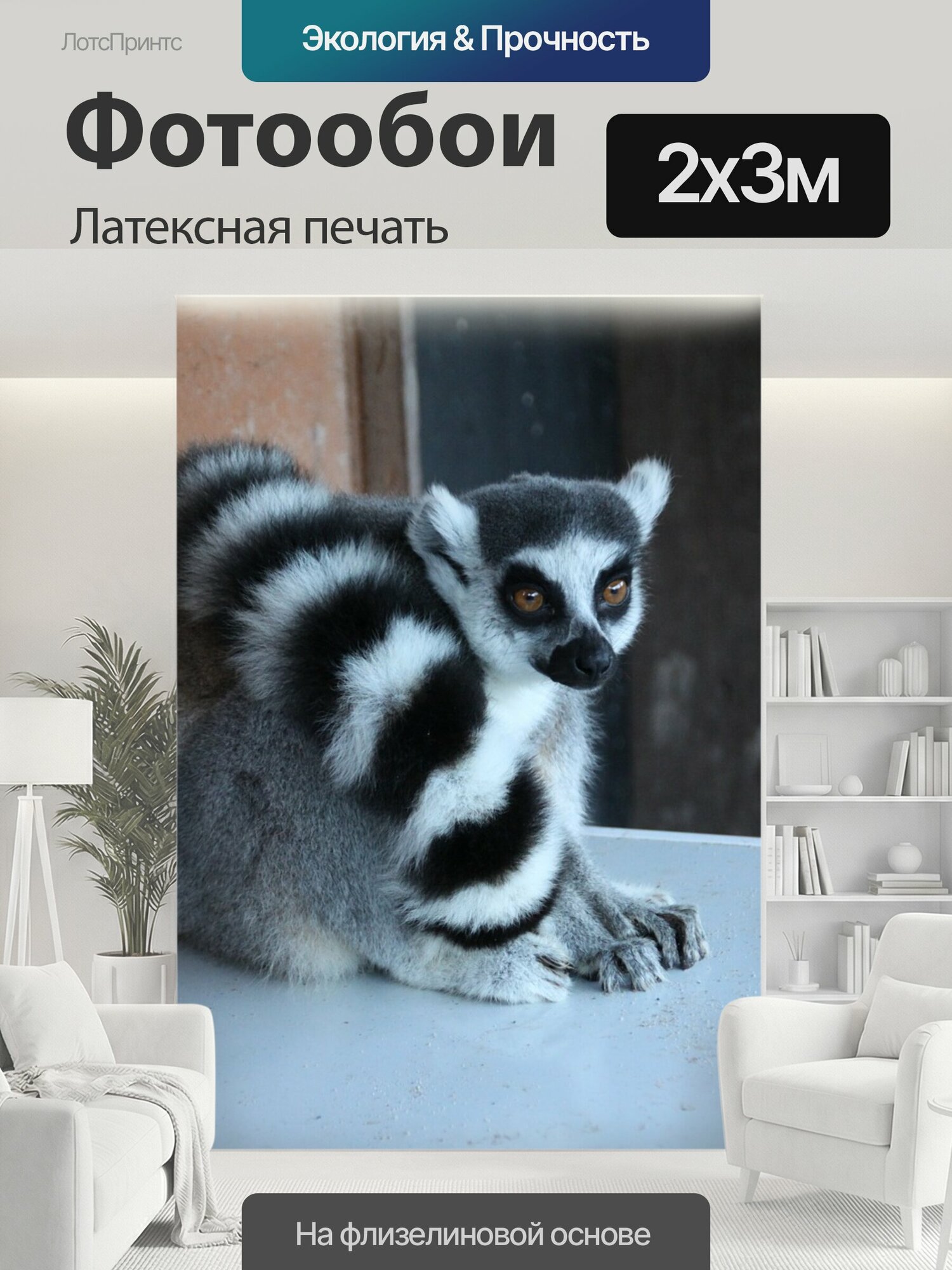 Фотообои моющиеся ударопрочные "Лемур, животное, мадагаскар" 200x300 см. латексная печать