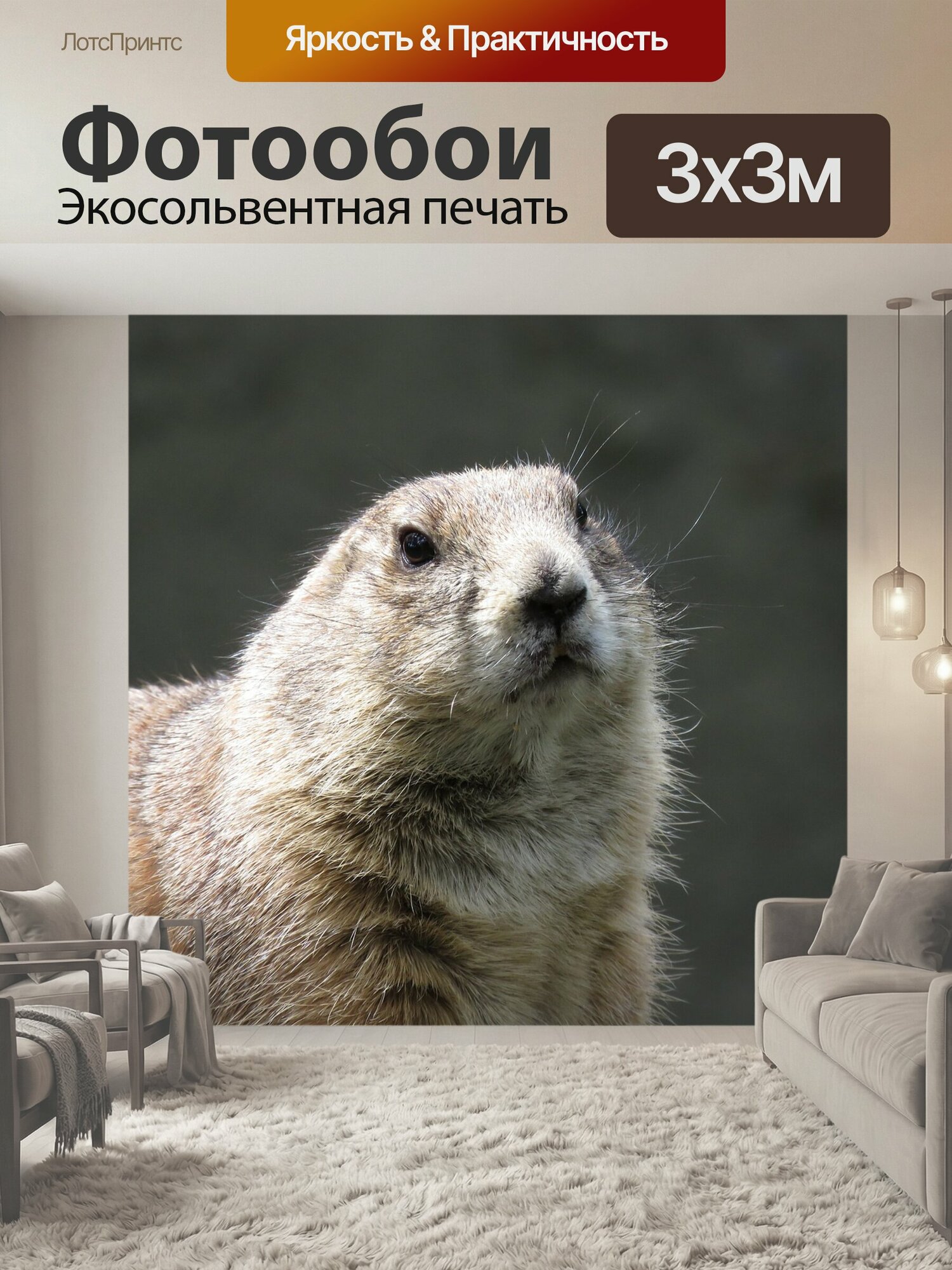 Фотообои "Луговые собачки, грызун, луговая собачка гуннисона" 300x300 см. экосольвентная печать