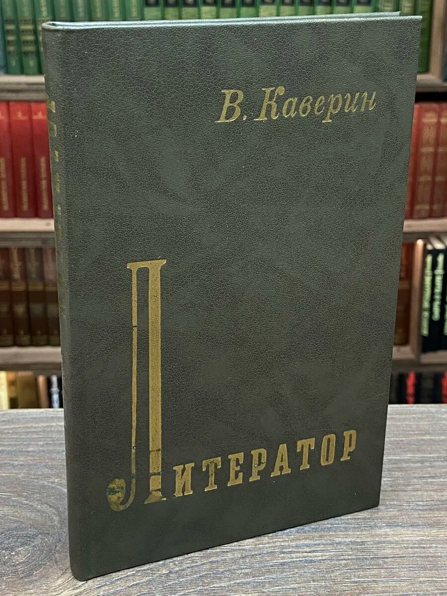 Литератор. Дневники и письма