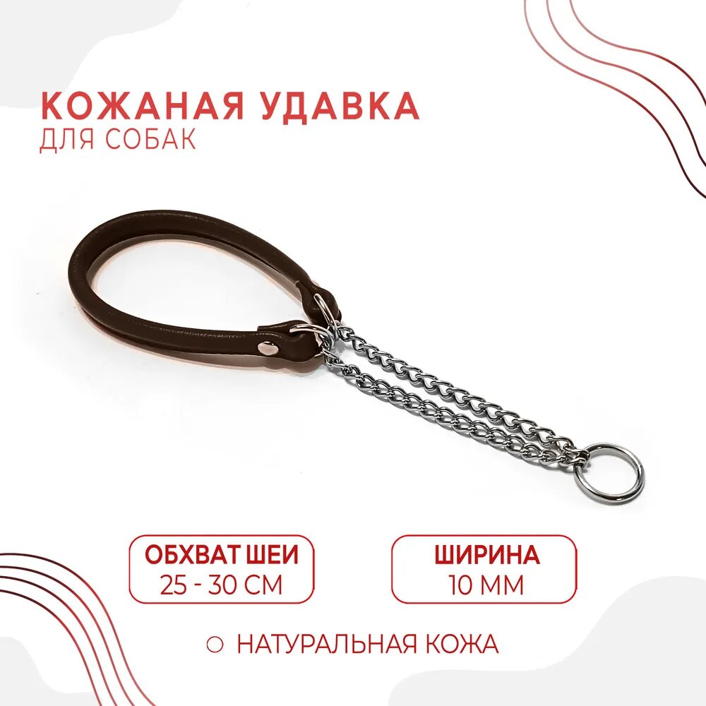 Ошейник-удавка для маленьких собак из натуральной кожи / Темно-коричневый цвет