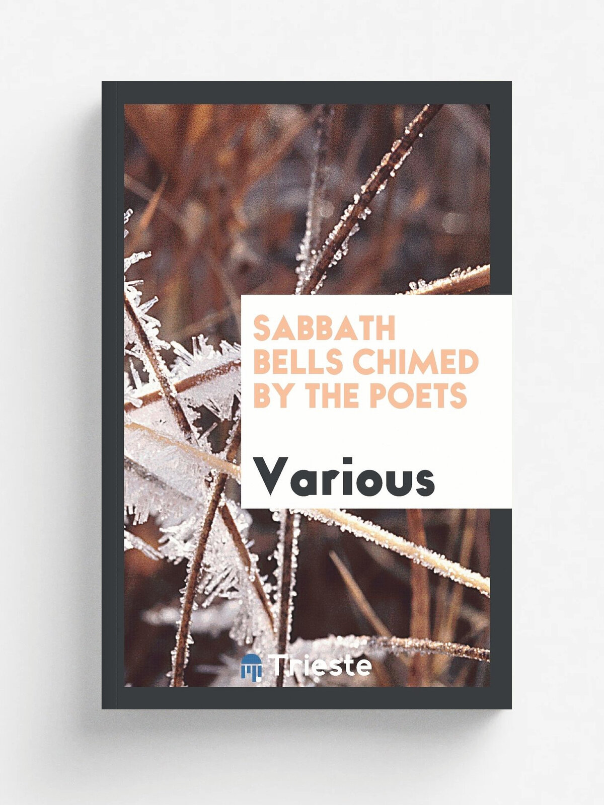 Sabbath Bells Chimed by the Poets