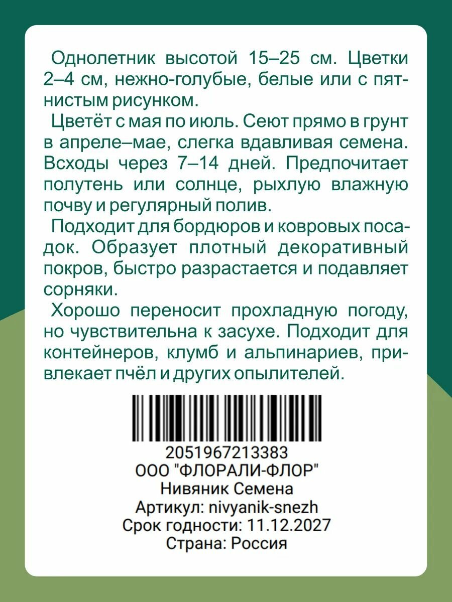 Нивяник Семена — фото 1