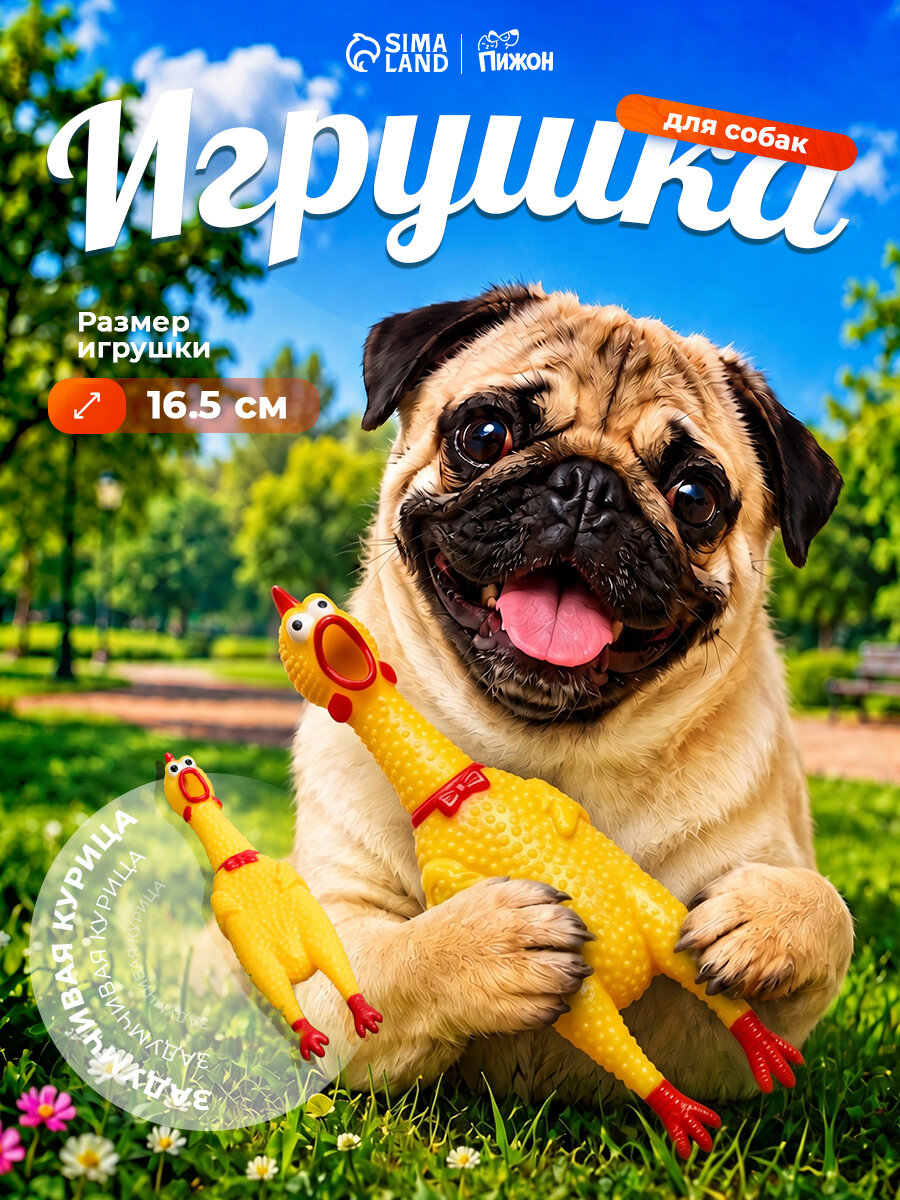 Игрушка для собак "Кричащая курица" с пищалкой, резиновая, жевательная, антистресс, 16,5 см