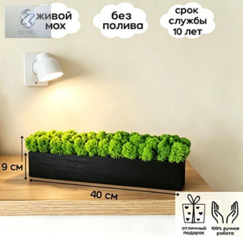 Кашпо со стабилизированным мхом 40*9 cм черный цвет
