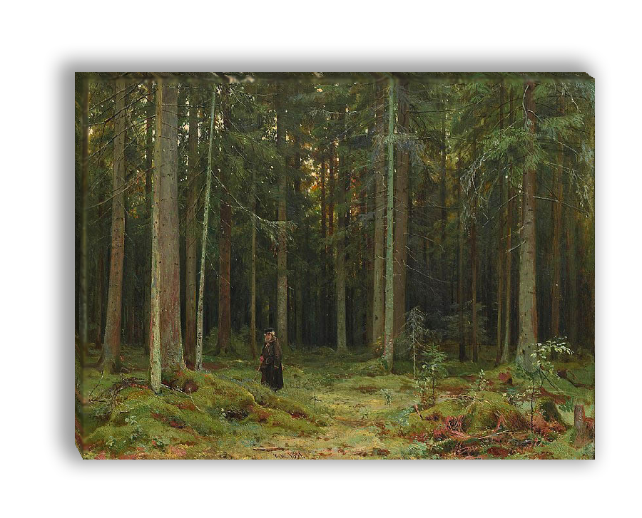 "В лесу графини Мордвиновой. Петергоф", Шишкин Иван Иванович, картина (репродукция) (50х37 см / на подрамнике)