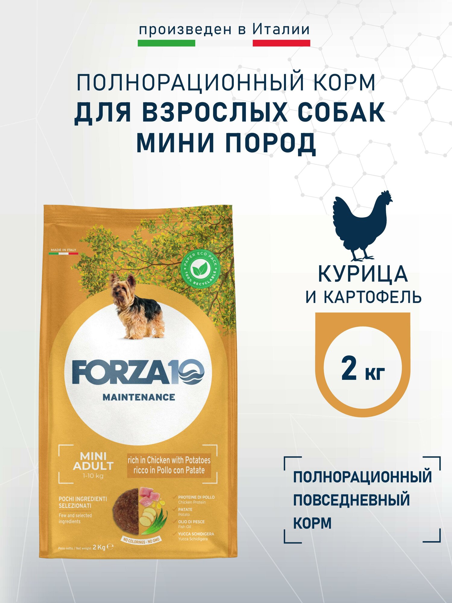 Корм сухой для собак FORZA10 Maintenance Chicken Mini с курицей и картофелем, для мелких пород, 2 кг