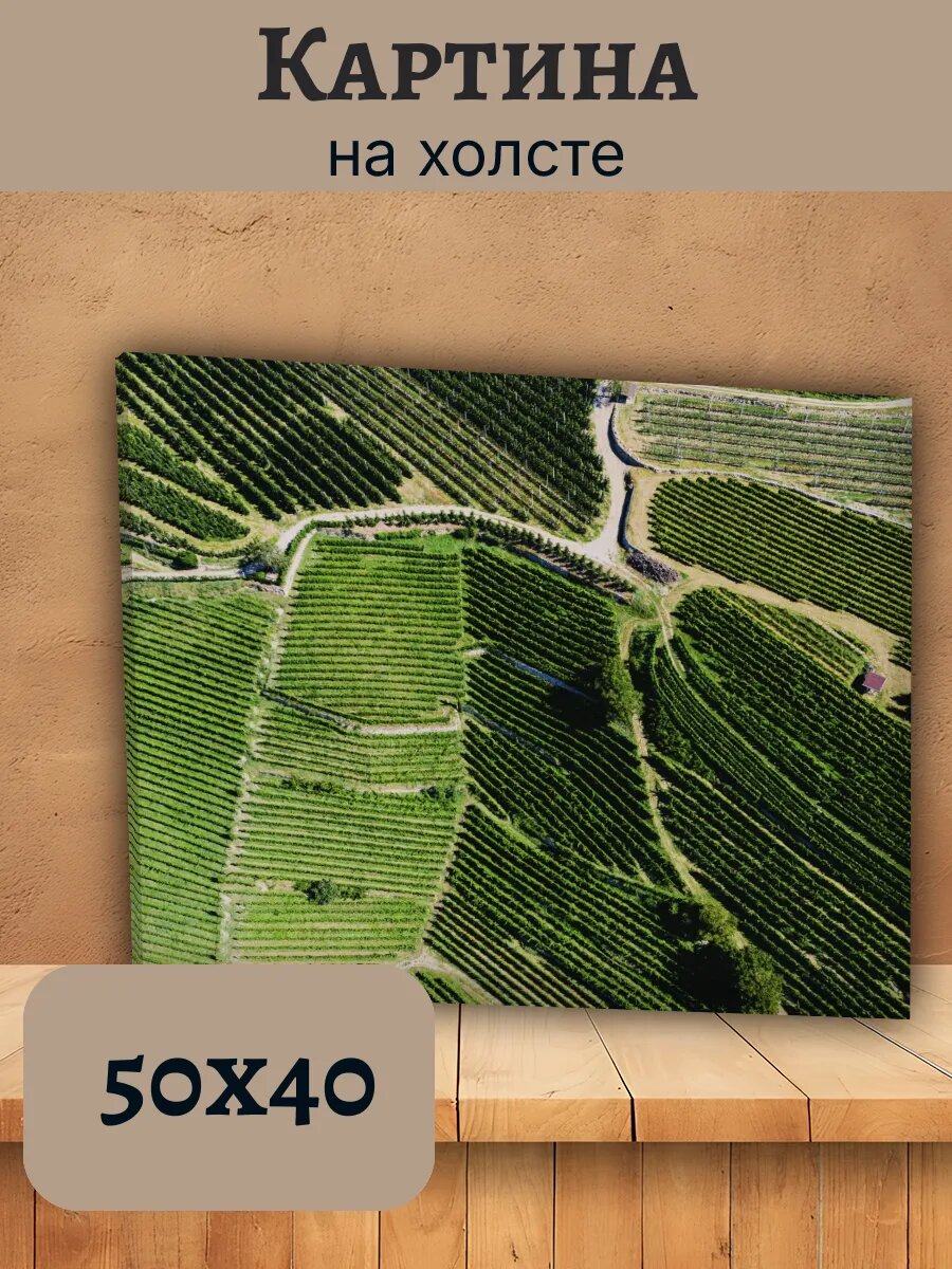Картина Италия Italy 40x50 виноградники Тоскана