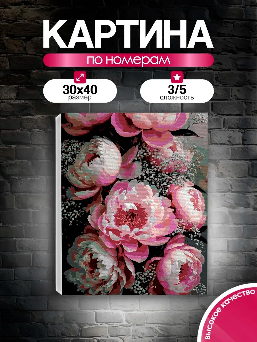 Картина по номерам 30x40 Пионы и гипсофилы
