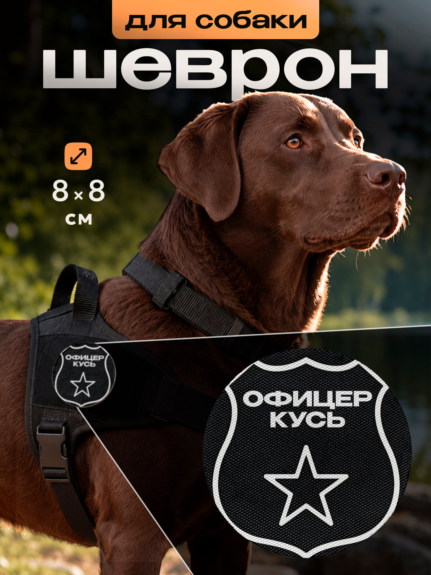 Шеврон для собак на липучке