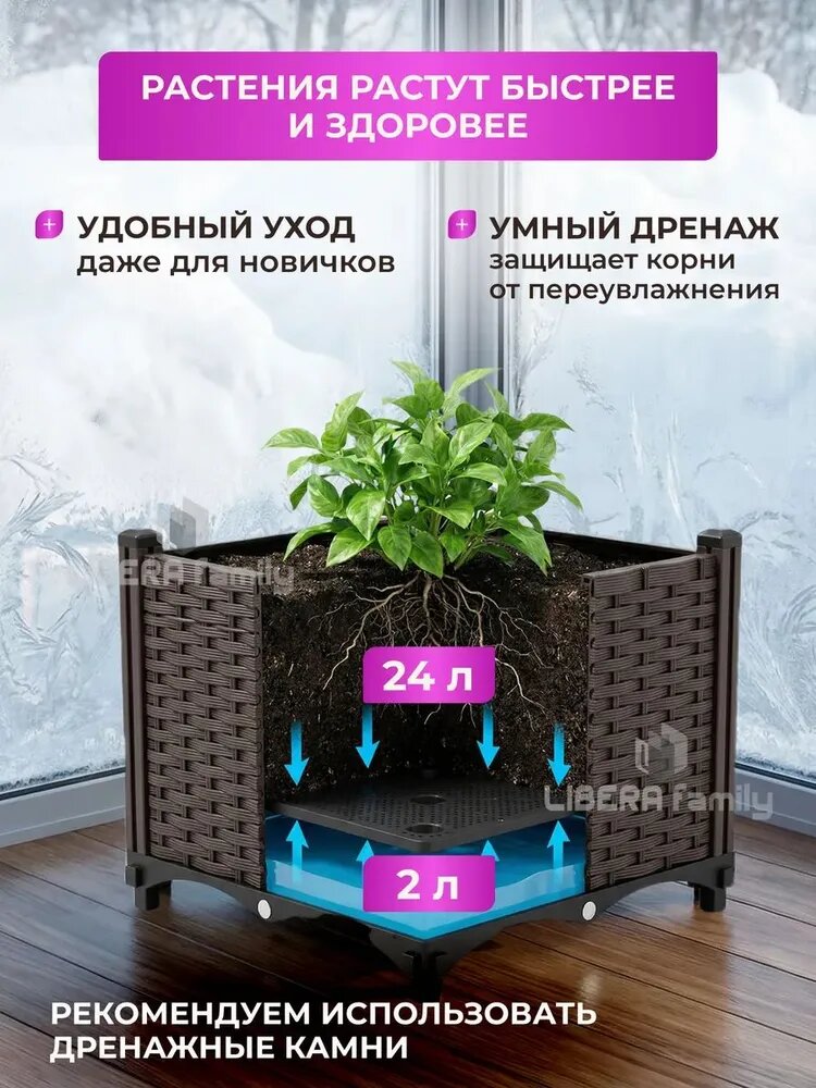 Грядка — фото 1